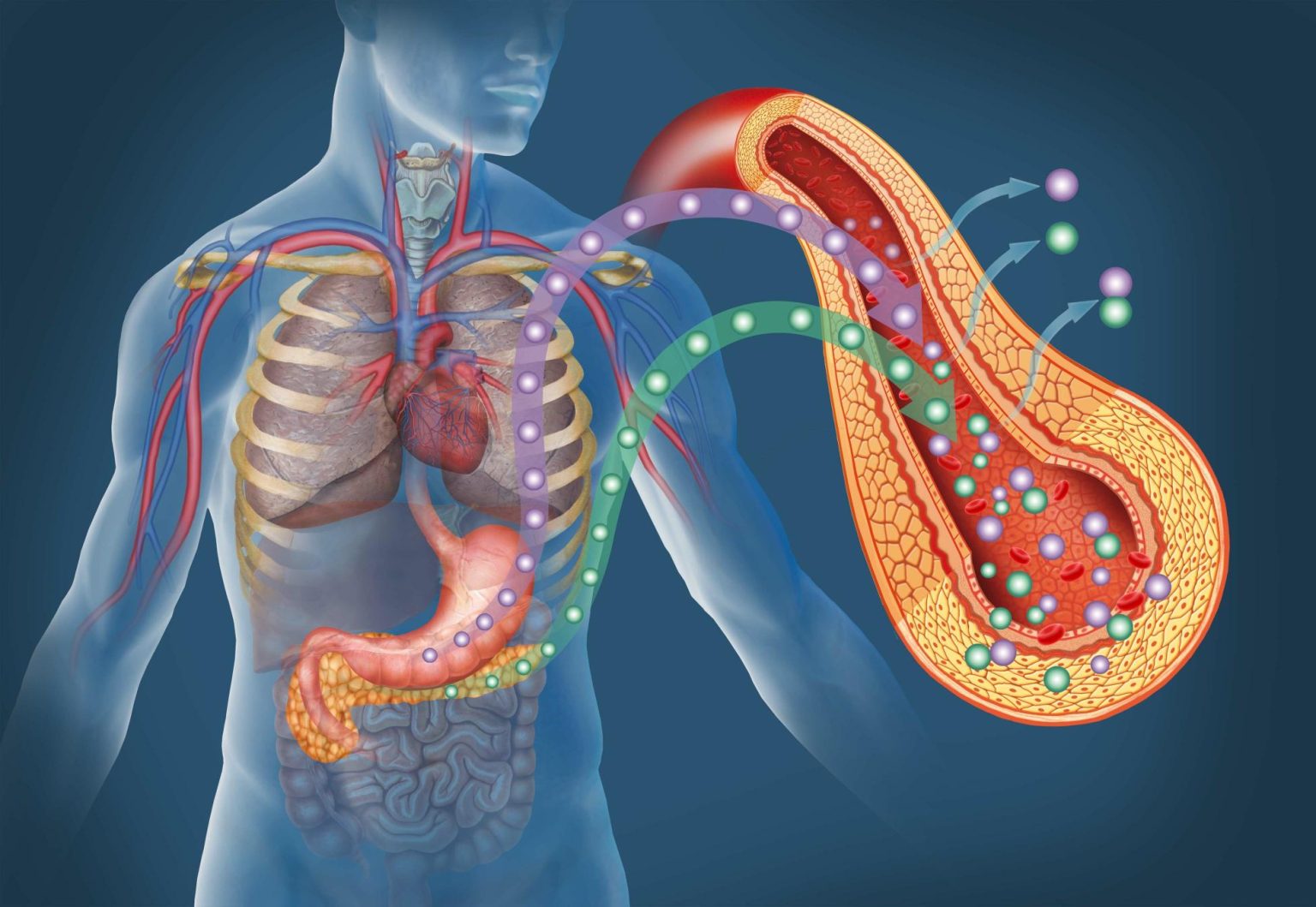 What is Diabetes? – Diabetes Singapore